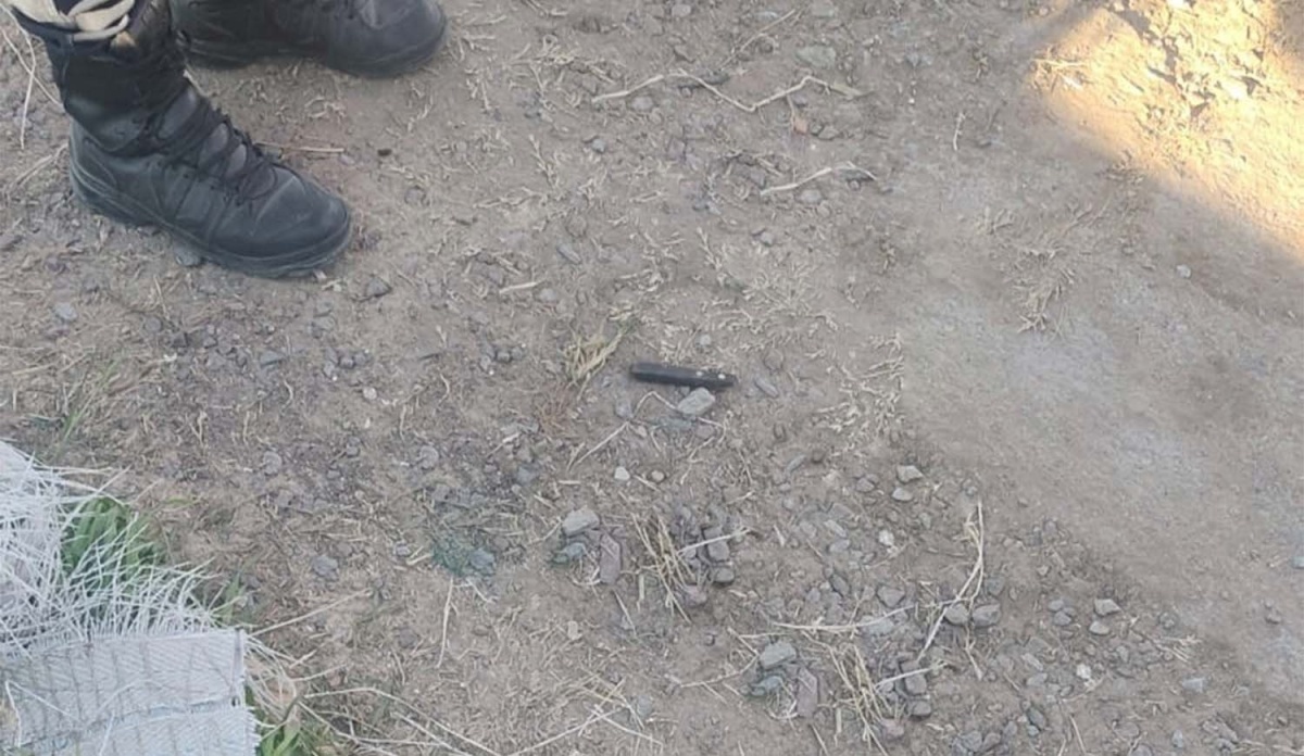 Un joven de 19 años quiso matar a un familiar en La Plata y no pudo escapar