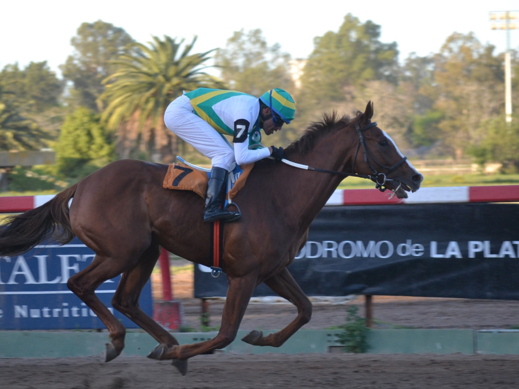 Alerta en el Hipódromo de La Plata por el virus que ataca a los ...