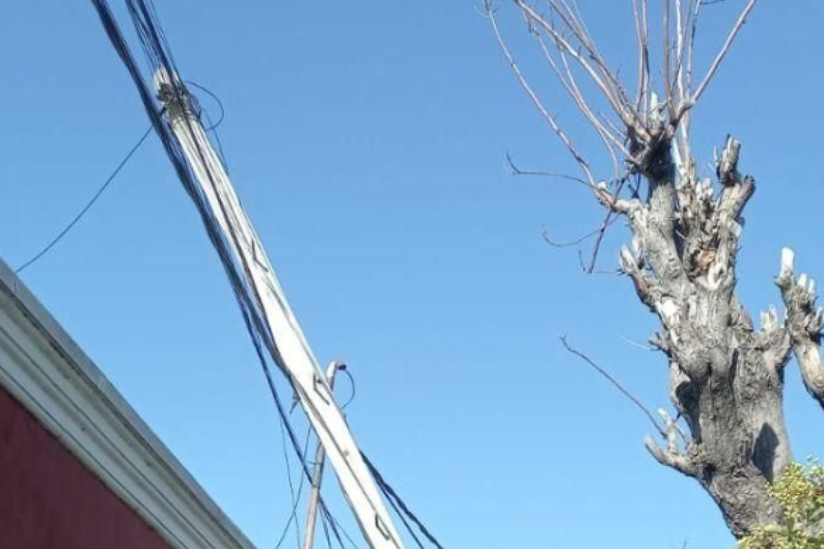 Preocupación en un barrio platense por un poste a punto de caerse ...