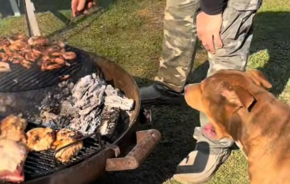 "Sólo deja que papá toque el asado": la curiosa reacción de un perro ...