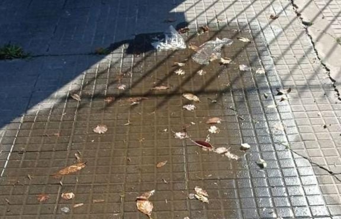 Vecinos de 65 y 21 se quejaron por una importante pérdida de agua Vecinos de 65 y 21 se quejaron por una importante pérdida de agua