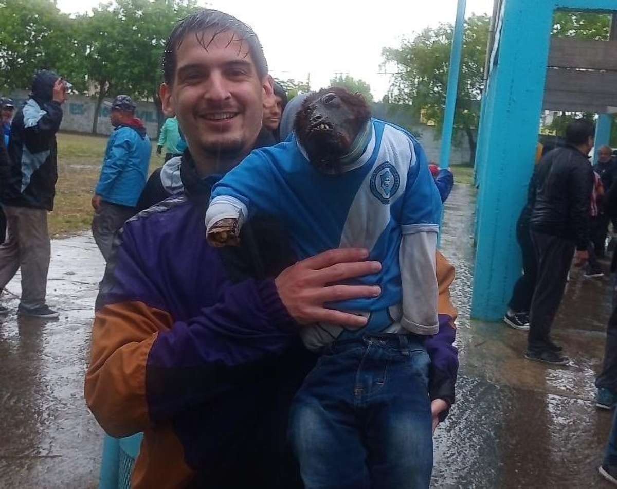 Un mono embalsamado se convirtió en hincha de Villa San Carlos y las ...