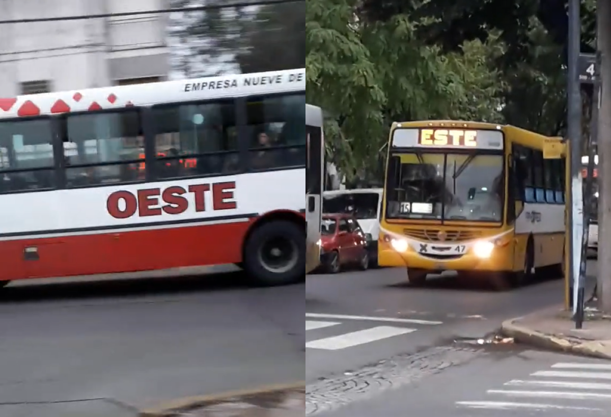 "Revivió el humor": un joven visitó La Plata y se hizo viral tras hacer ...