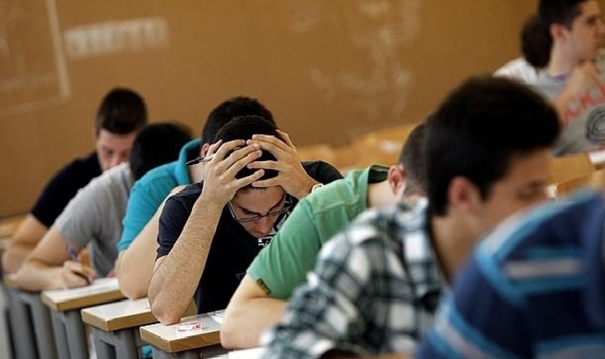 "Pagá, ratón": El llamativo mensaje que una Universidad le mandó a una ...